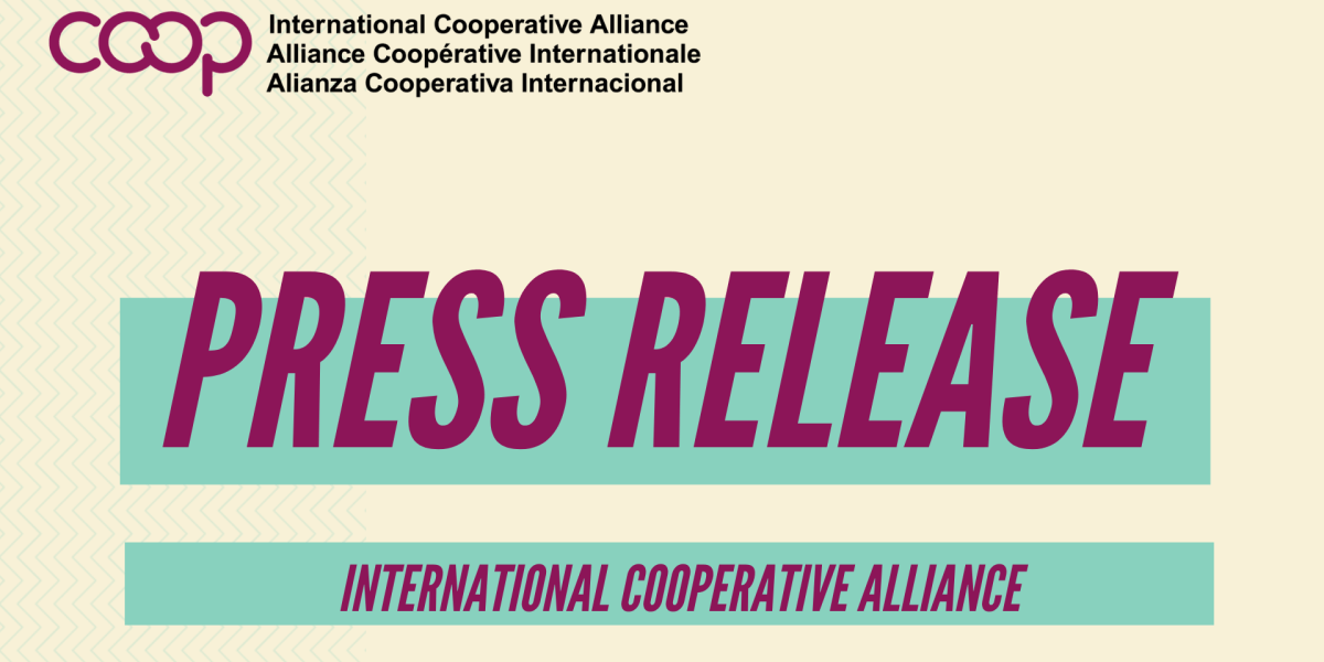 UN holds soft-launch event for the 2025 UN International Year of ...